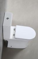 China Chaozhou Popular Ceramic Two PIece Toilets Rimless Flushing White Color WC for sale
