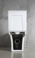 China Chaozhou Popular Ceramic Two PIece Toilets Rimless Flushing White Color WC for sale