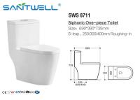 China Models Economic Chaozhou Popular dual flush WC  flush rimless single piece toilet ISO9001 2000 cetification for sale