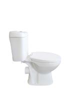 China Cheap Price Classical Model Two Piece Toilets Washdown Flushing RImless White Color Toilets for sale