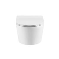 China Luxury Sanitary Ware Hot Selling Models Washdown Rimless Flushing Wall Hung Toilets WC for sale