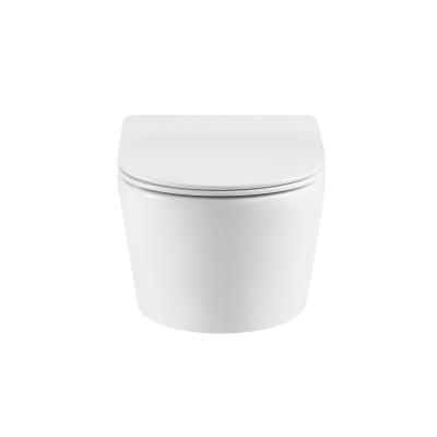 China Luxury Sanitary Ware Hot Selling Models Washdown Rimless Flushing Wall Hung Toilets WC for sale