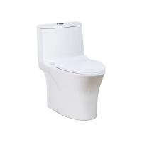 China Cheap Models Wholesaler Supplier Floor Standing Toilets One Piece WC S Trap 300mm for South of American for sale