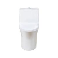 China Cheap Models Wholesaler Supplier Floor Standing Toilets One Piece WC S Trap 300mm for South of American for sale