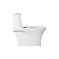 China Cheap Models Wholesaler Supplier Floor Standing Toilets One Piece WC S Trap 300mm for South of American for sale