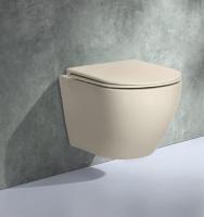 China European Ceramic Rimless Washdown New Trend Taupe Color Wall Mounted Toilet Concealed Tank for sale