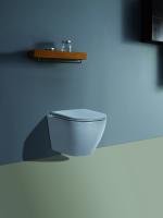 China CE European Style Wall Mounted Concealed Tank D Shape Round Ceramic Wall Hung Toilet for Bathroom for sale