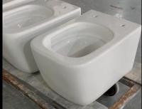 China Modern  Washdown New Trend Tornado Flush P Trap Wall Mounted Toilet for sale