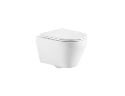 China High Quality Washdown Tornado Flush Ceramic Bathroom Soft Seat Cover Wall Mounted Toilet for sale