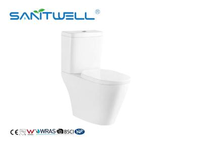 China Washdown Fashionable 2 Piece Toilet Structure S Trap With Soft Surface for sale