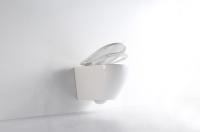 China Chaozhou Suppliers New Design Gravity Flushing Bathroom Ceramic Rimless Wall Mounted WC for sale