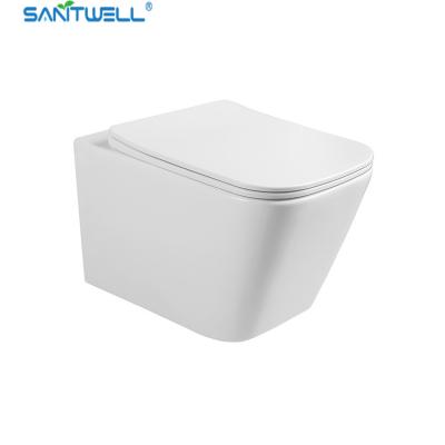 China Sanitwell SWJ0525 Bathroom wc white toilet bowl rimless flush for sale