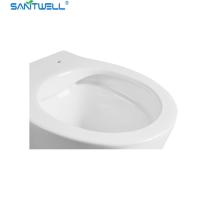 China China Sanitwell SWJ1025 Bathroom wc white toilet bowl rimless flush for sale