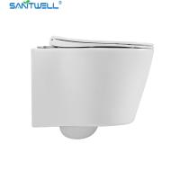 China China Sanitwell SWJ1025 Bathroom wc white toilet bowl rimless flush for sale