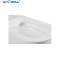 China Popular Chaozhou New Design SWJ1225 Bathroom wc white toilet bowl rimless flush for sale