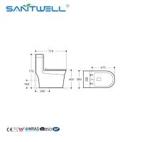 China ceramic one piece toilet Popular sanitary ware bowl for bathroom SWM8610 Rimless Ceramic One Piece Toilet for sale