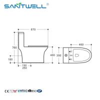 China Popular Styles white washdown one piece western Chaozhou model human toilet closestool SWM8618 for sale