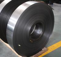 China Incoloy 800 Strip High Temperature Strength Oxidation Carburization Resistance for sale