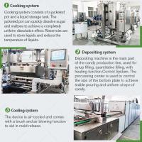 China Small Pectin Jelly Deposit Gummy Pour Automatic Confectionery Make Machine Hard Soft Candy Production Line for sale