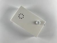 China Marketing Motion Activated Speaker With Custom Printing PCBA for sale