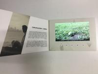 China Branded lcd 7inch tft screen video brochure digital video card for event launch/commercial advertising for sale
