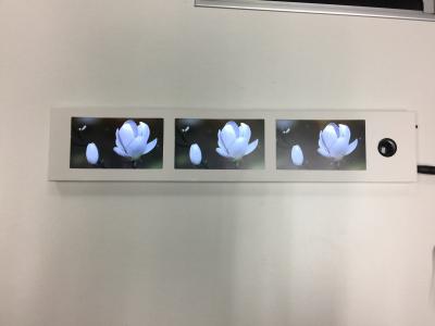 China Digital Video POP Display 4.3 Inch Screen LCD Video Screen Brochure for sale