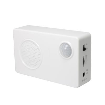 China Plastic Motion Activated Speaker Motion Sensor Sound Box With Audio for sale