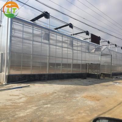 China Steel Frame Solar Agricultural Greenhouses for Adjustable Vegetable and Fruit Farming for sale