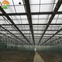 China Steel Frame Solar Agricultural Greenhouses for Adjustable Vegetable and Fruit Farming for sale