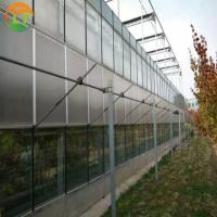 China Steel Frame Solar Agricultural Greenhouses for Adjustable Vegetable and Fruit Farming for sale