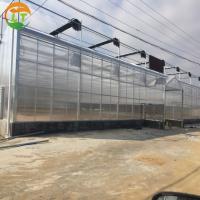 China Greenhouse Multi Span Agriculture Polycarbonate Greenhouse for Optimal Air Flow for sale
