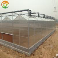 China Multi-Span Agricultural Greenhouses with Hydroponic Systems Stable Structure and Durable for sale