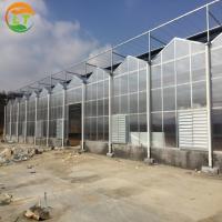 China Multi-Span Agricultural Greenhouses with Hot Galvanized Steel Transparent Solar Panels for sale