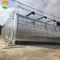 China Multi-Span Agricultural Greenhouses with Hot Galvanized Steel Transparent Solar Panels for sale