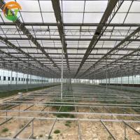 China Multi-Span Agricultural Greenhouses with Hot Galvanized Steel Transparent Solar Panels for sale