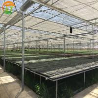 China Multi-Span Agricultural Greenhouses with Hot Galvanized Steel Transparent Solar Panels for sale