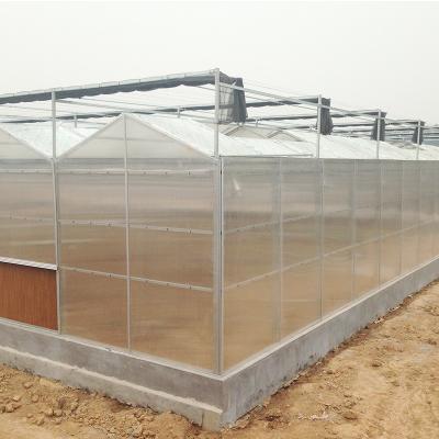 China Advanced Multi-Span Hydrophonic Greenhouse for Commercial Supply Gutter Height 3m-6m for sale