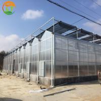 China 2021 Multi-Span Polycarbonate Invernadero Garden Greenhouse for Agriculture Industry for sale