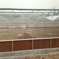 China 4m Section Polycarbonate Greenhouse for Vegetable Fruits and Flowers Commercial Grade for sale
