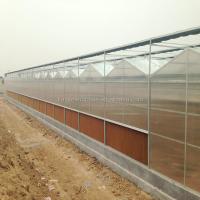 China 4m Section Polycarbonate Greenhouse for Vegetable Fruits and Flowers Commercial Grade for sale