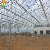 China Venlo Polycarbonate Greenhouse for Flower and Vegetable Growing in Customized Color for sale