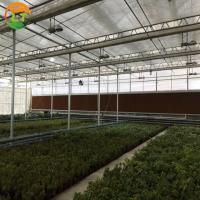 China Venlo Polycarbonate Greenhouse for Flower and Vegetable Growing in Customized Color for sale