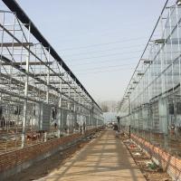 China Greenhouse Plastic Sheet/PC Sheet Greenhouse with Stable Structure and Vents for sale