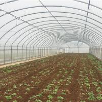 China Optimal Plant Cultivation Tunnel Greenhouse Covered with 150/200micro PO Film for sale
