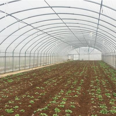 China Optimal Plant Cultivation Tunnel Greenhouse Covered with 150/200micro PO Film for sale