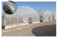 China Optimal Plant Cultivation Tunnel Greenhouse Covered with 150/200micro PO Film for sale