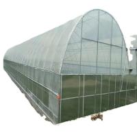 China Optimal Plant Cultivation Tunnel Greenhouse Covered with 150/200micro PO Film for sale