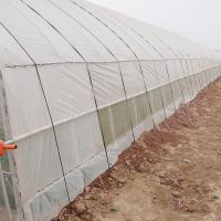 China Optimal Plant Cultivation Tunnel Greenhouse Covered with 150/200micro PO Film for sale