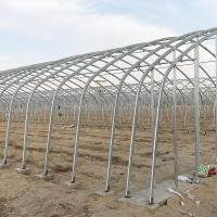China Optimal Plant Cultivation Tunnel Greenhouse Covered with 150/200micro PO Film for sale