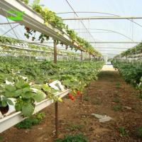 China Hydroponic Greenhouse Strawberry Length 30-100m Suitable for Vegetable Fruits Flowers for sale